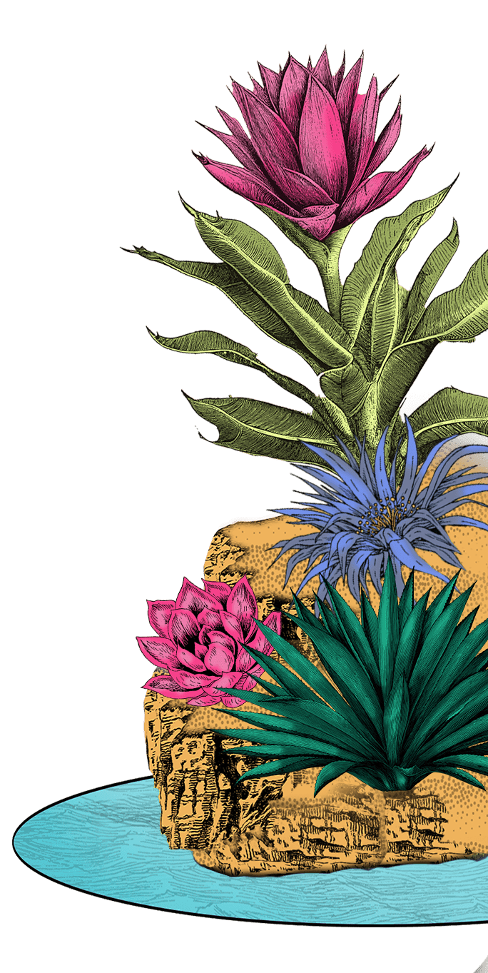 Hendrick’s Oasium Gin – Discover a Refreshingly Curious Oasis