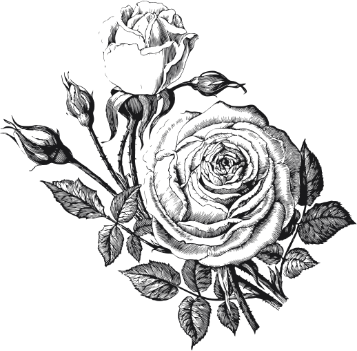 Learn About Hendrick's Gin - Premium Gin - Hendrick's Gin | Hendrick's Gin