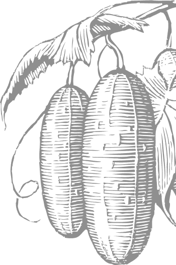 New Hendrick’s Sunspell Gin - Citrus and Spices - Limited Release ...